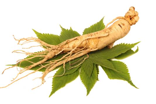 Quels sont les bienfaits du ginseng ? + avis et conseils d'achat