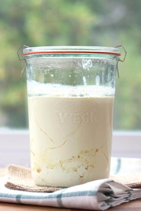 5 Bienfaits Avérés du Kéfir + 3 Recettes Délicieuses