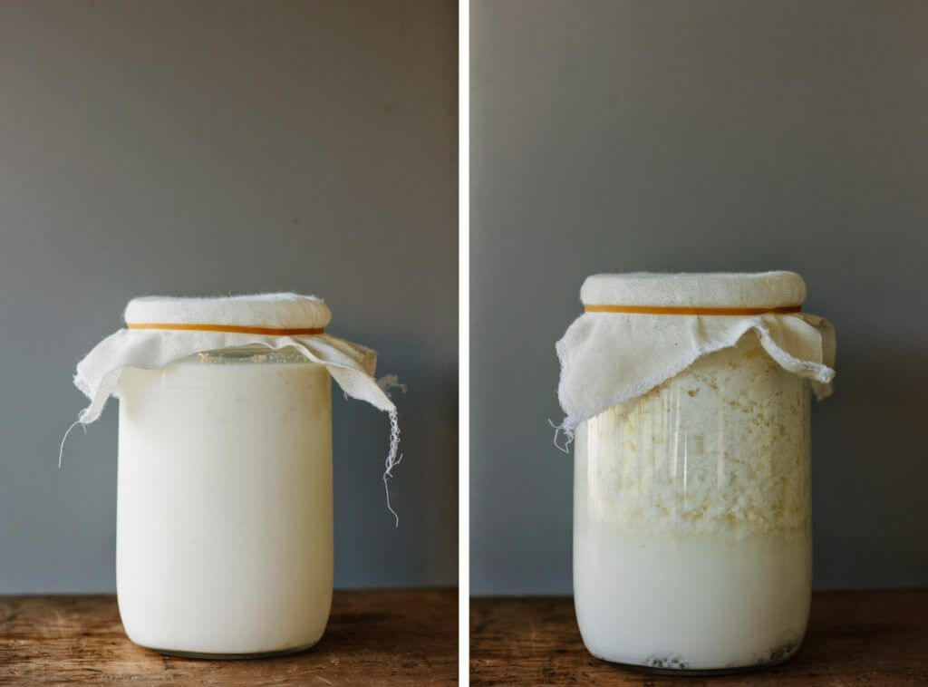 5 Bienfaits Avérés du Kéfir + 3 Recettes Délicieuses